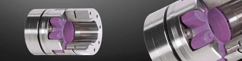 Bộ Khớp nối KTR Rotex Clamping Ring Hub Chính hãng giá tốt Việt Nam